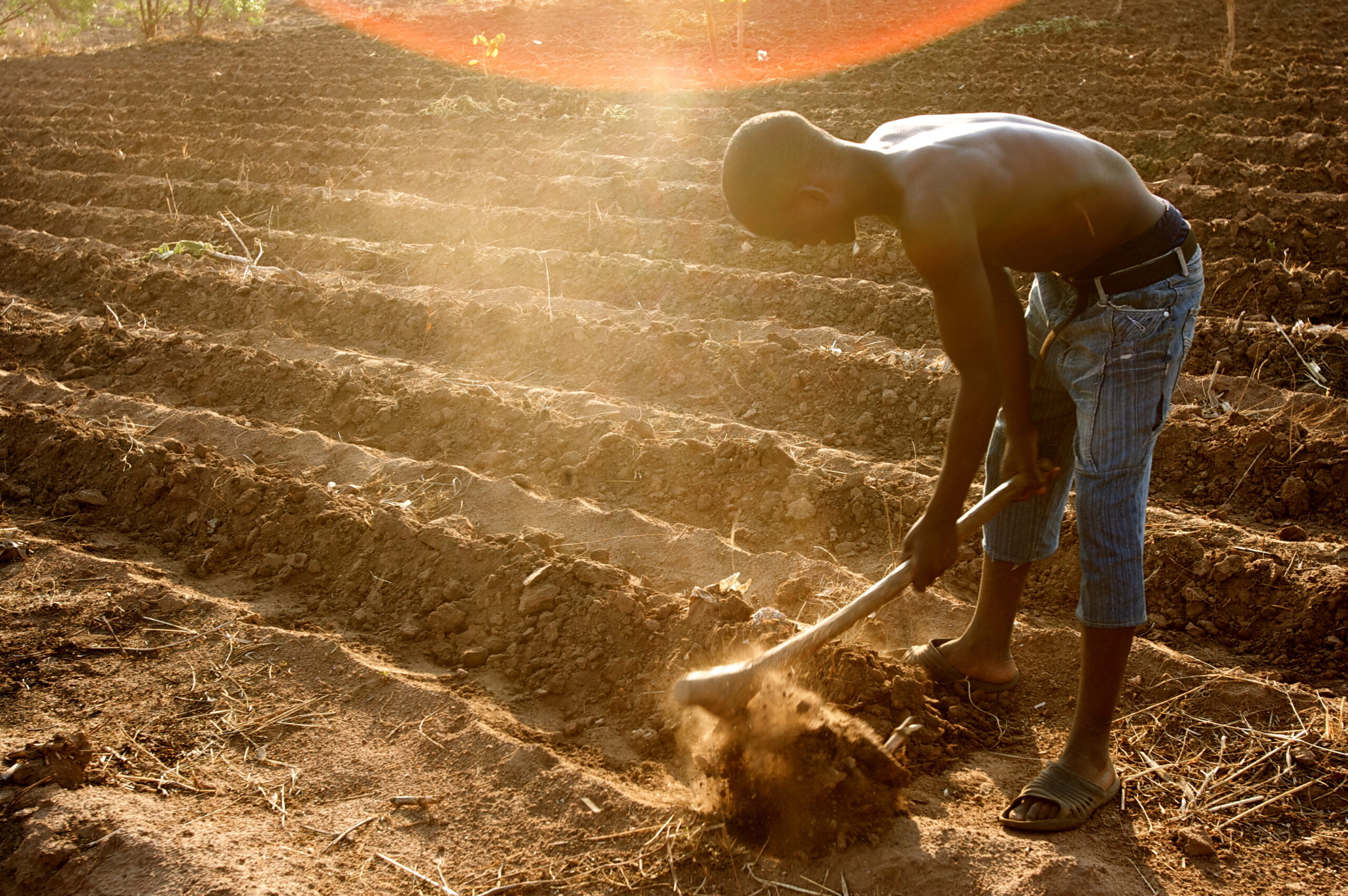 Farming lures back young people in Africa - Heart & Soul